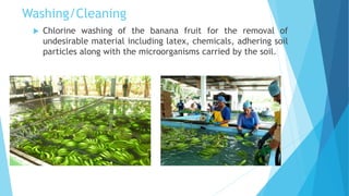 Postharvest presentation.pptx