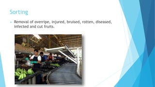 Postharvest presentation.pptx
