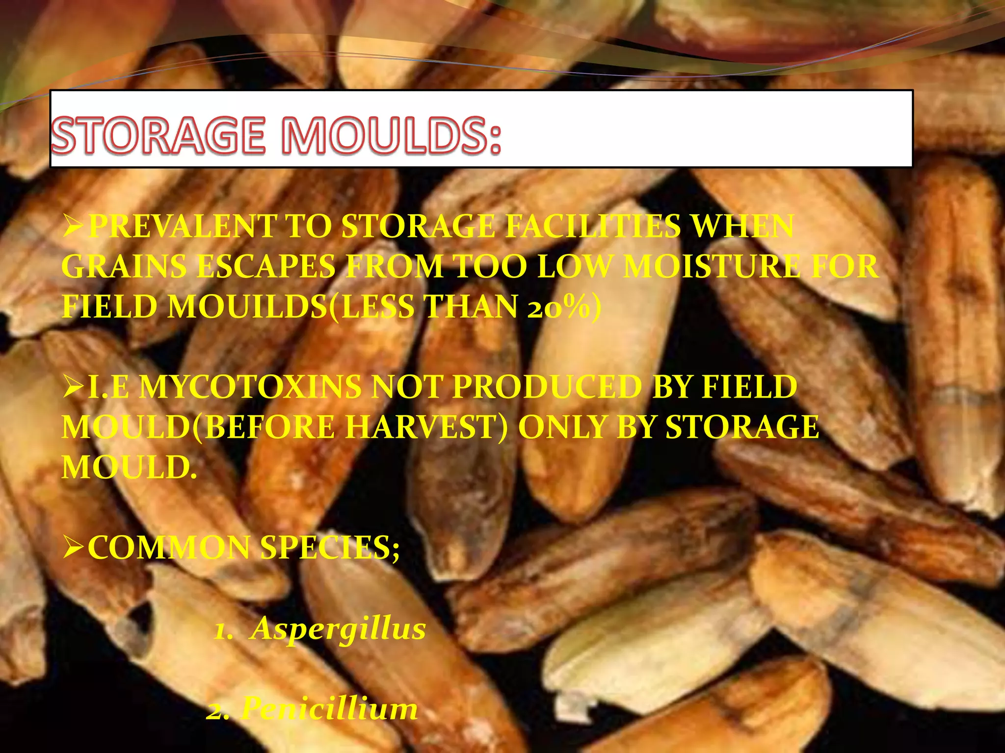 Post harvest spoilage of grains during storage and their management by ...