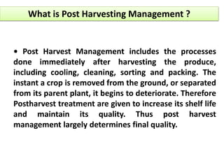 Postharvest technology | PPTX