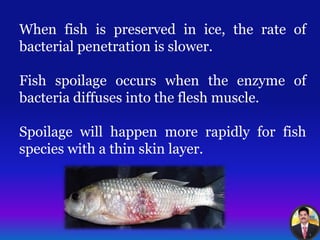 Post harvest technology | PPTX