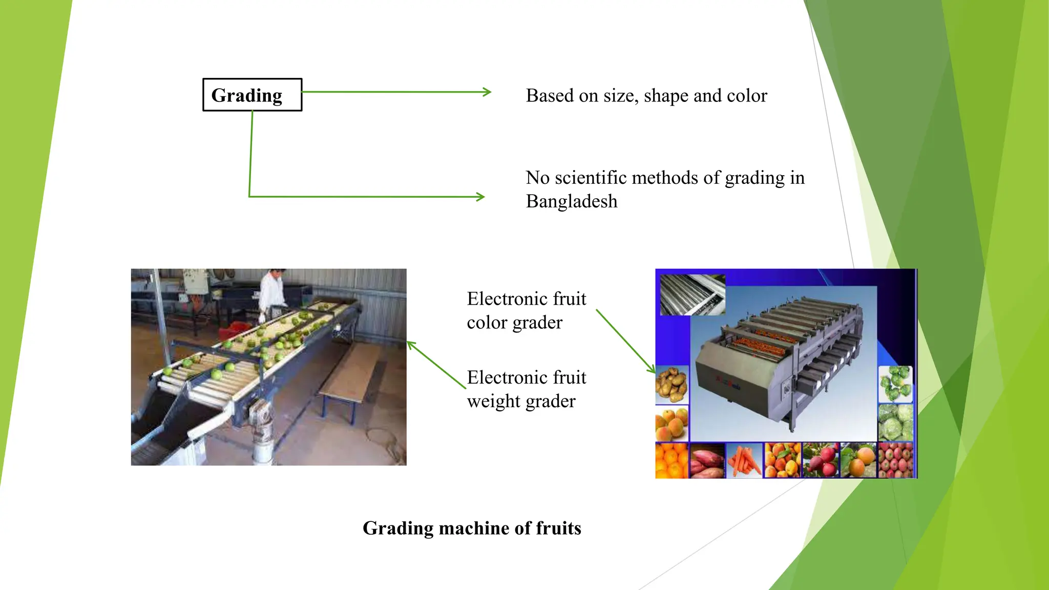 Postharvest technology and manageent.ppt