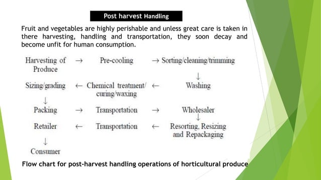 Postharvest technology and manageent.ppt