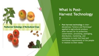 Post harvest technology in horticulture | PPTX