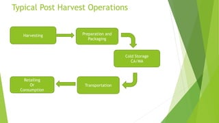 Post harvest technology in horticulture | PPTX