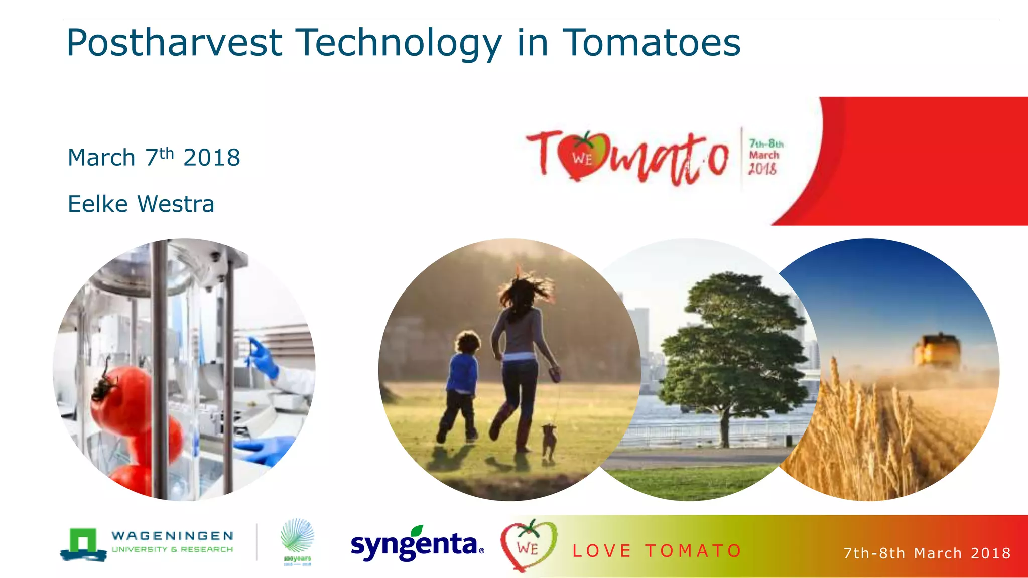 Postharvest Technology in Tomatoes | PPTX