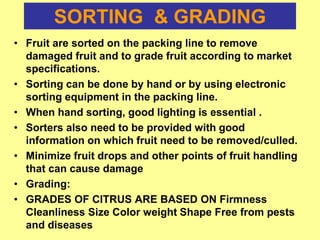 Post harvest technology of citrus | PPT