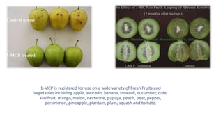 Post harvest treatment | PPTX