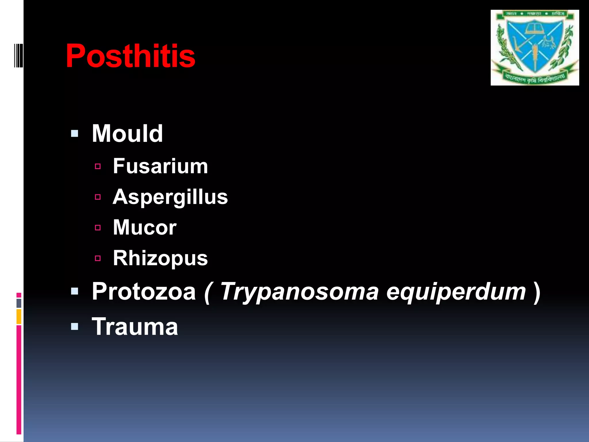 Posthitis in bull | PPTX