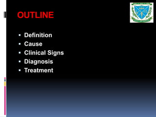 Posthitis in bull | PPTX | Veterinary Medicine | Pets