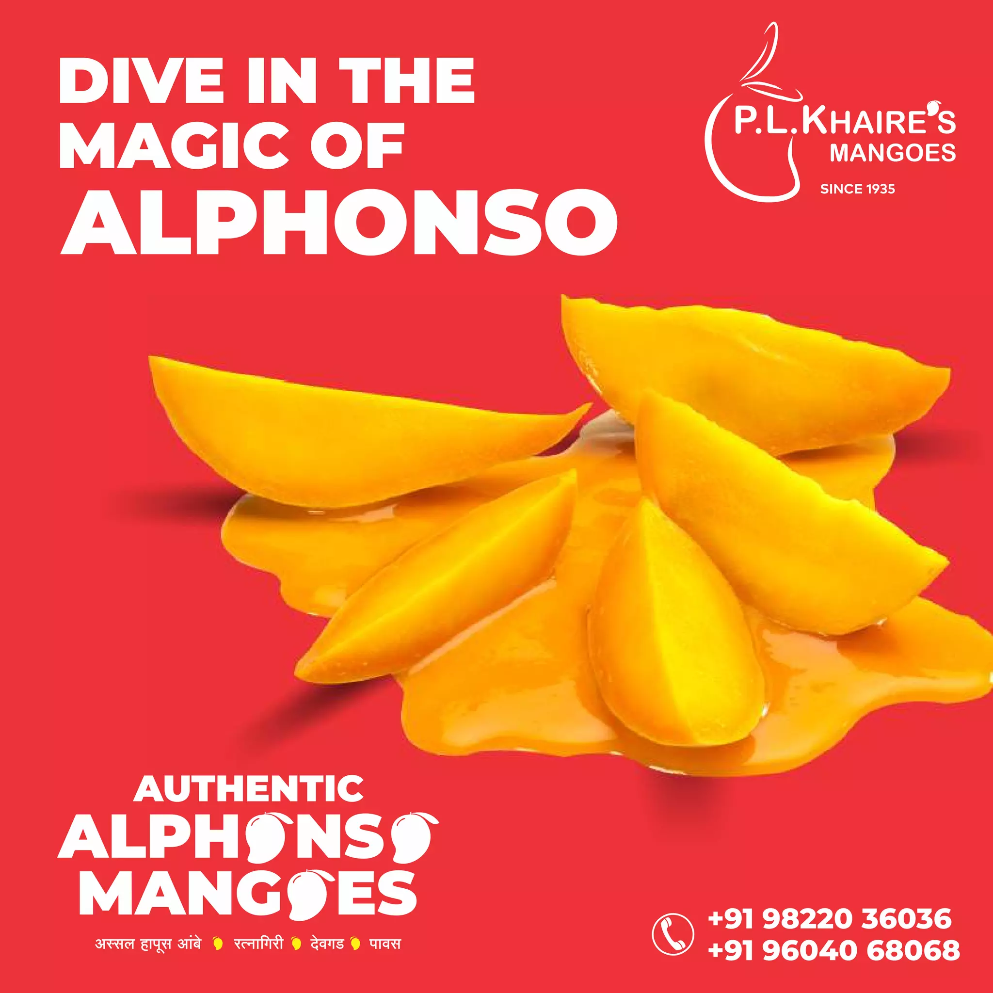 PL Khaire Alphonso Mangoes campaign | PDF | Agriculture | Industries