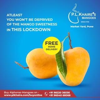 PL Khaire Alphonso Mangoes campaign2 | PDF