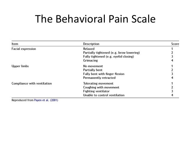 Post-Intubation Management