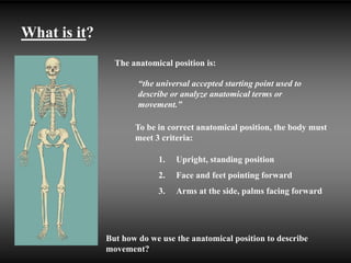 Anatomical Postion and plane (Biomechanics) | PPT