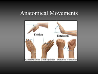 Anatomical Postion and plane (Biomechanics) | PPT
