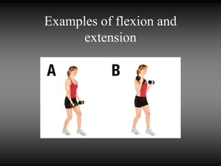 Anatomical Postion and plane (Biomechanics) | PPT