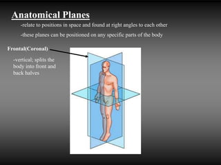 Anatomical Postion and plane (Biomechanics) | PPT