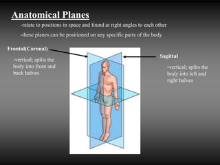 Anatomical Postion and plane (Biomechanics) | PPT