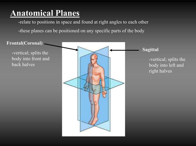 Anatomical Postion and plane (Biomechanics) | PPT