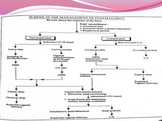 Post maturity | PPTX