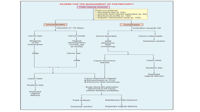 postmaturity ppt for bsc nursing students | PPTX