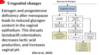 Postmenopausal syndrome and the pathophysiology of menopause organ ...