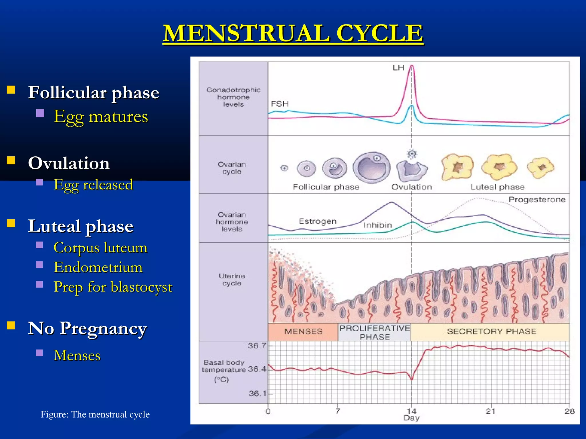 Post menopausal syndrome & treatment | PPT