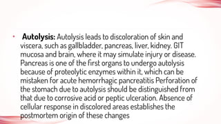 Postmortem artifacts 36.pdf