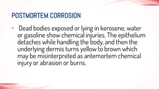 Postmortem artifacts 36.pdf