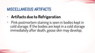 Postmortem artifacts 36.pdf
