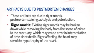 Postmortem artifacts 36.pdf