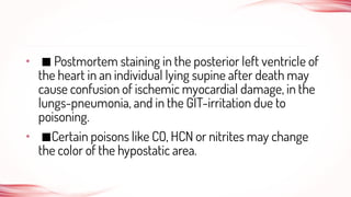 Postmortem artifacts 36.pdf