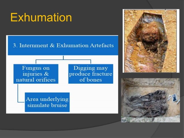 Postmortem artifacts - a Forensic perspective | PPTX | First Aid | Injuries