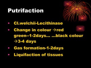 Postmortem changes | PPT