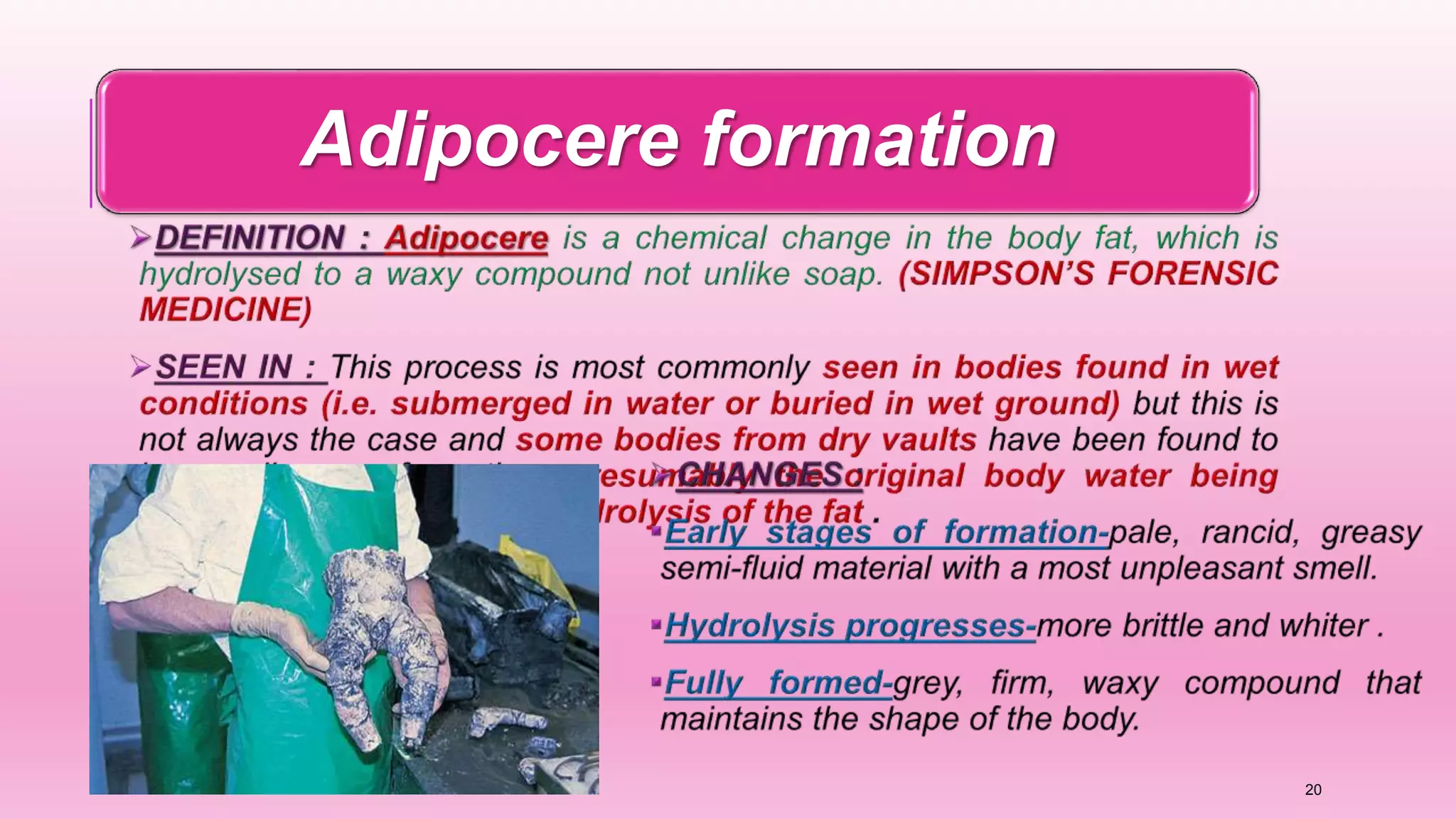 Postmortem changes | PPTX