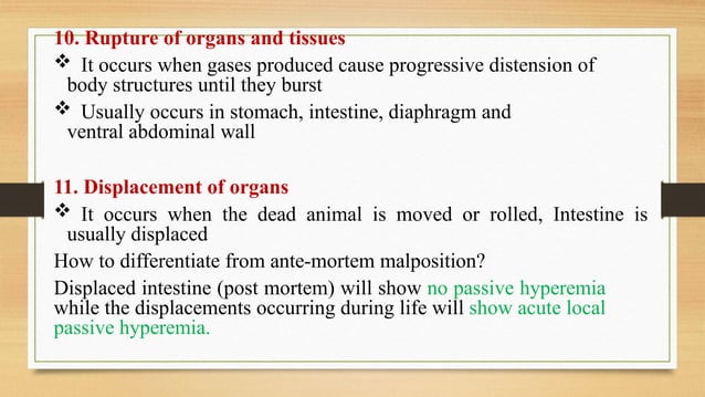post-mortem changes in Veterinary Pathology | PPTX
