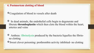 post-mortem changes in Veterinary Pathology | PPTX