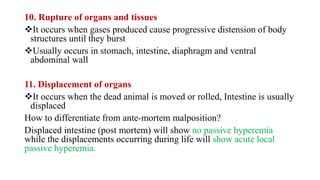 Postmortem changes | PDF