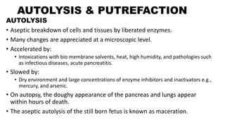 POST MORTEM CHANGES.pptx