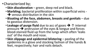 POST MORTEM CHANGES.pptx