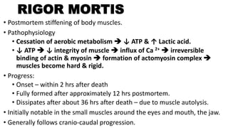 POST MORTEM CHANGES.pptx