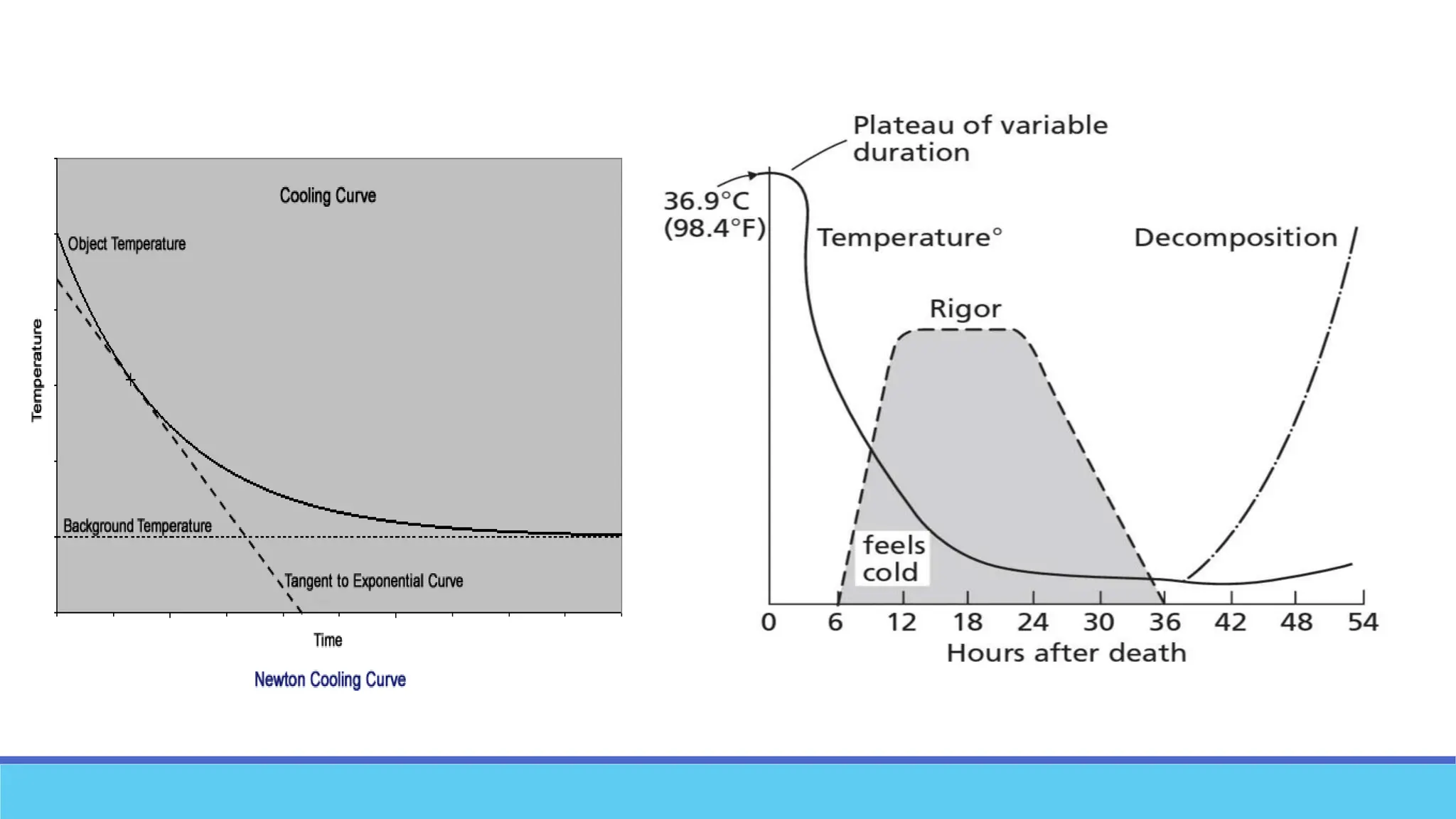 Post Mortem Changes in Forensic Medicine.new.pptx