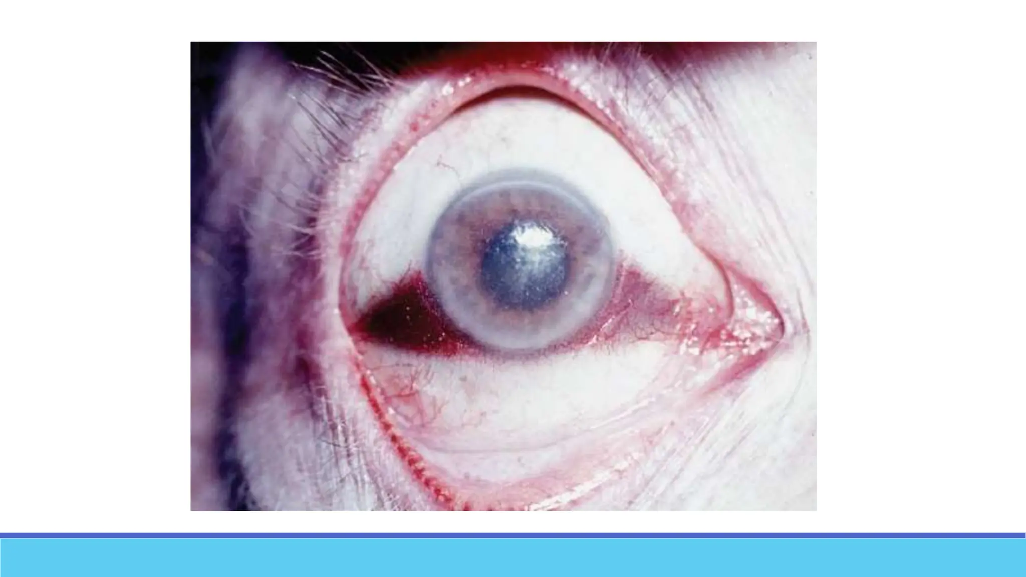 Post Mortem Changes in Forensic Medicine.new.pptx