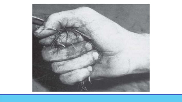 Post Mortem Changes in Forensic Medicine.new.pptx