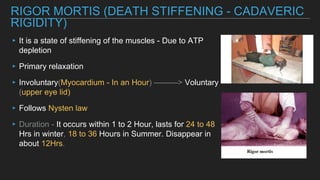 Postmortem changes .pptx