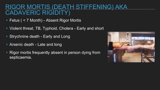 Postmortem changes .pptx