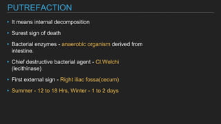 Postmortem changes .pptx