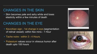 Postmortem changes .pptx