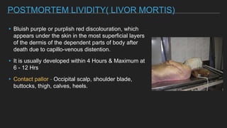 Postmortem changes .pptx