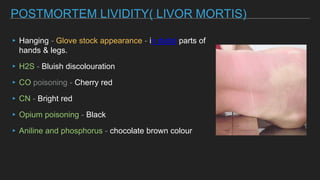 Postmortem changes .pptx